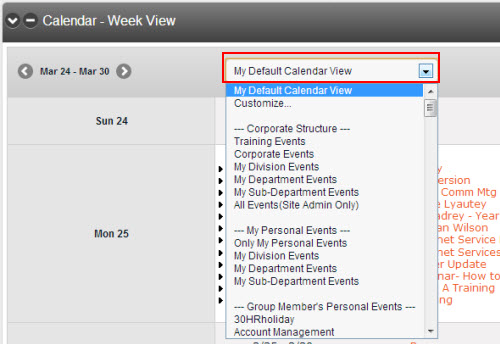 Custom Calendar Views